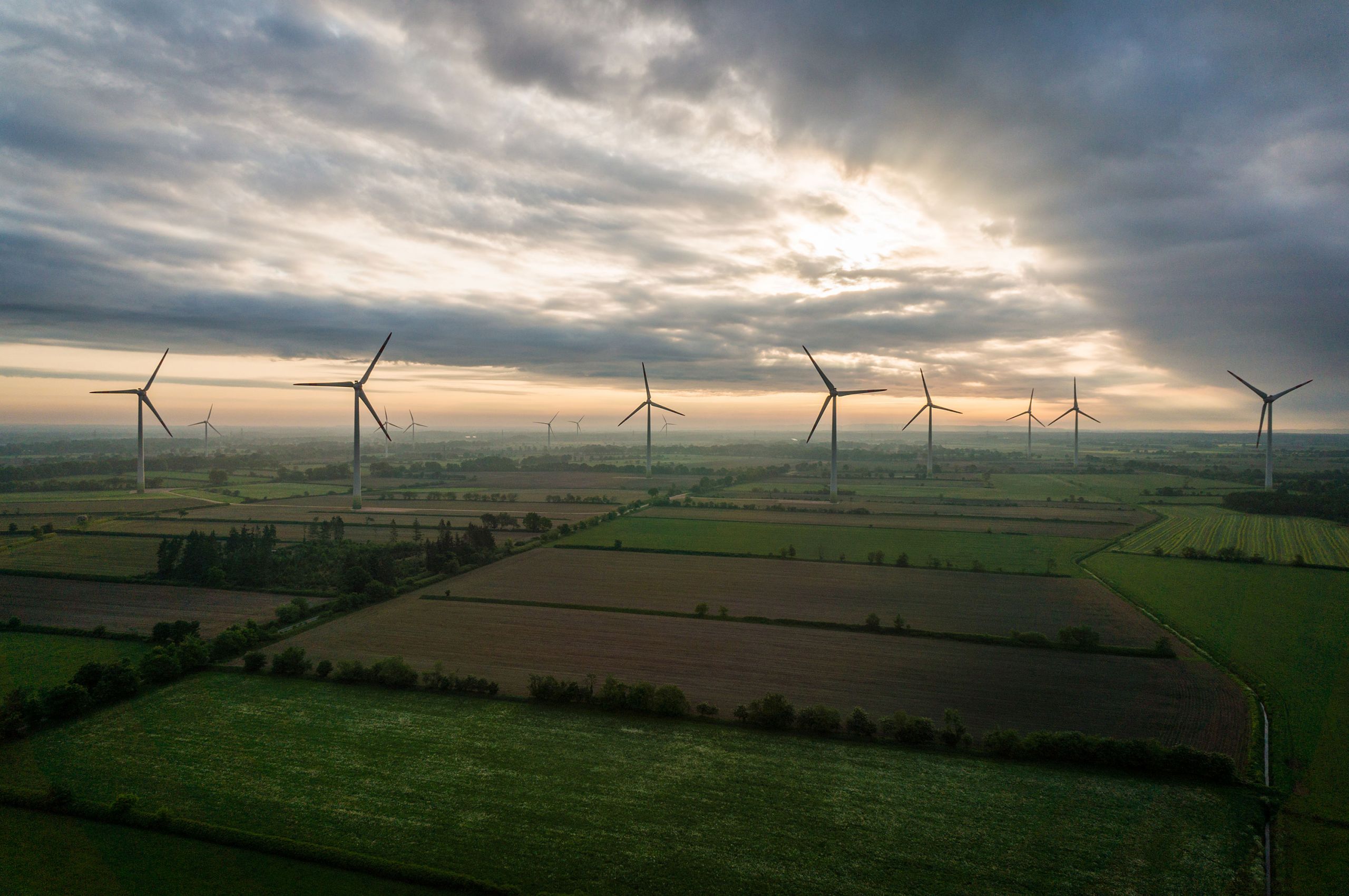 wpd グループ : wpd Japan